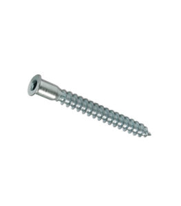 Vis d'Assemblage 5*50 | BPS